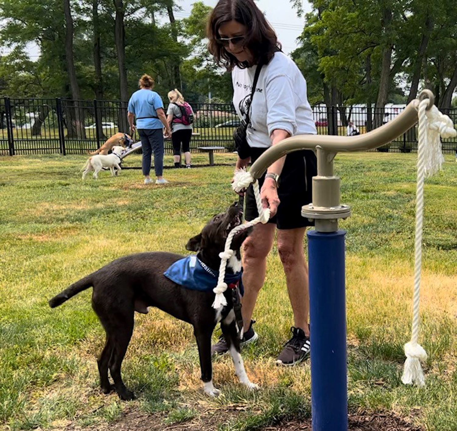 Glenstar Properties Opens First-Of-Its-Kind Chicago-Area Dog Park for ...